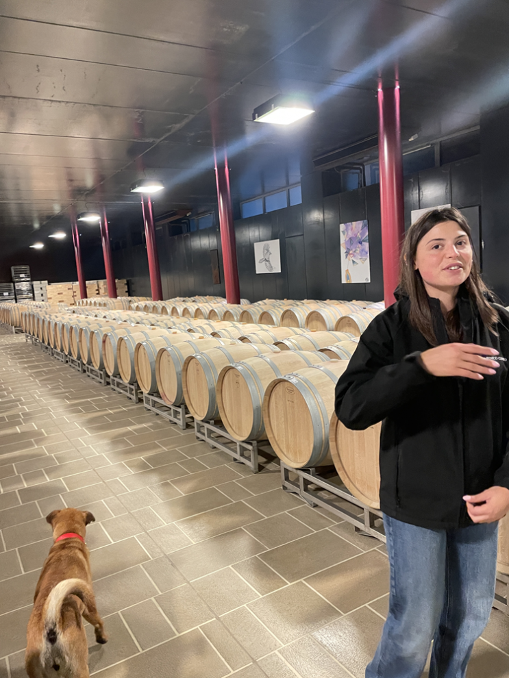 A visit to Domenico Clerico in the Piemonte, Italy | IntoWine